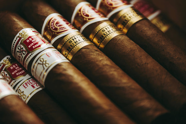 Online Shop for Premium Cigars - Pyramid Cigars